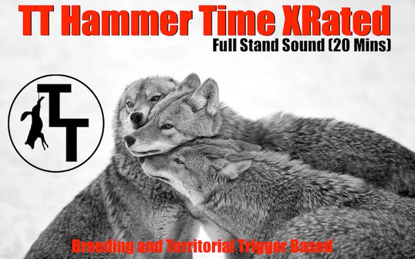 TT Hammer Time XRated – Predator University