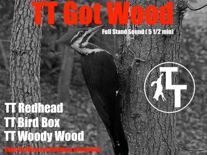 TT Got Wood – Predator University