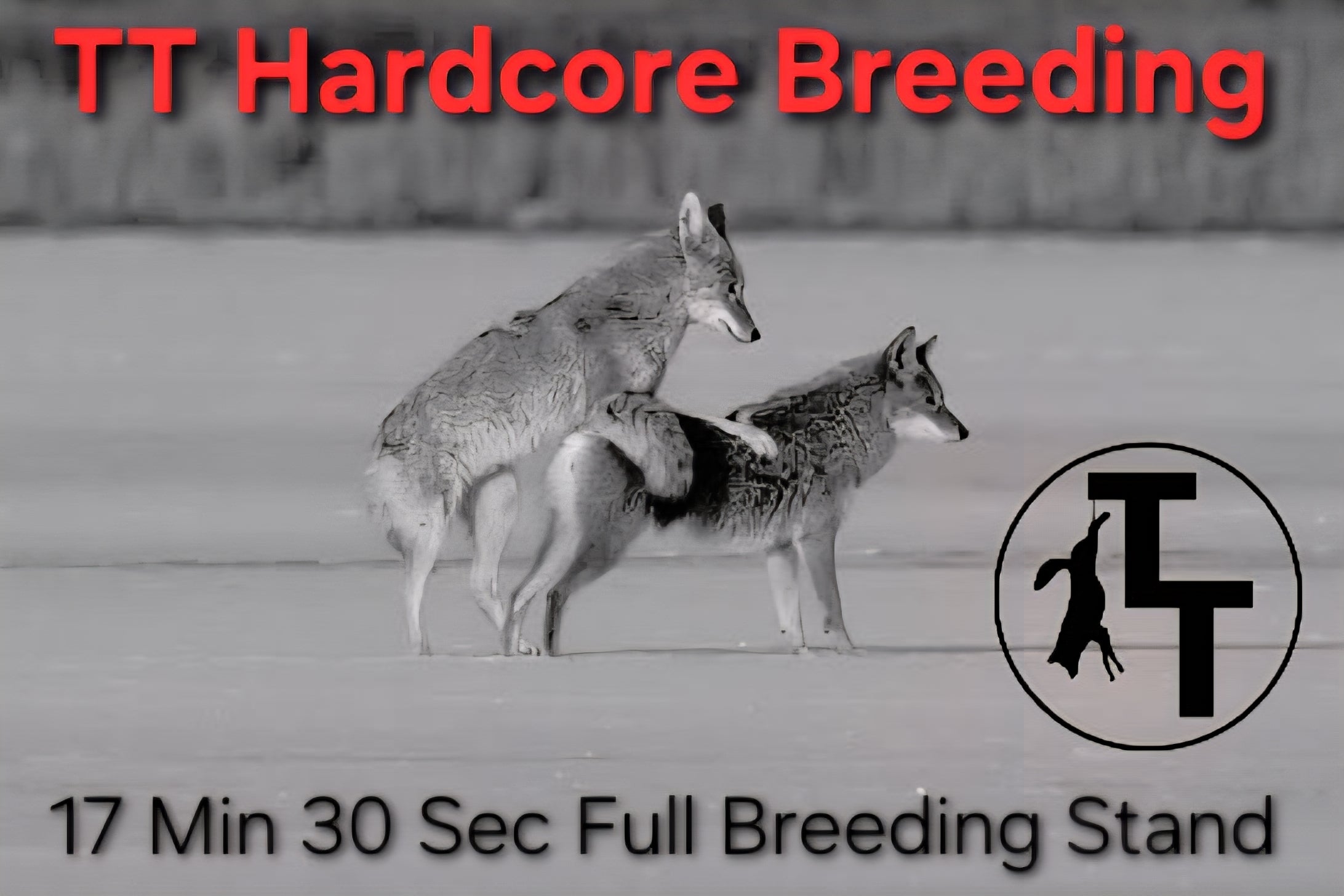 TT Hardcore Breeding – Predator University