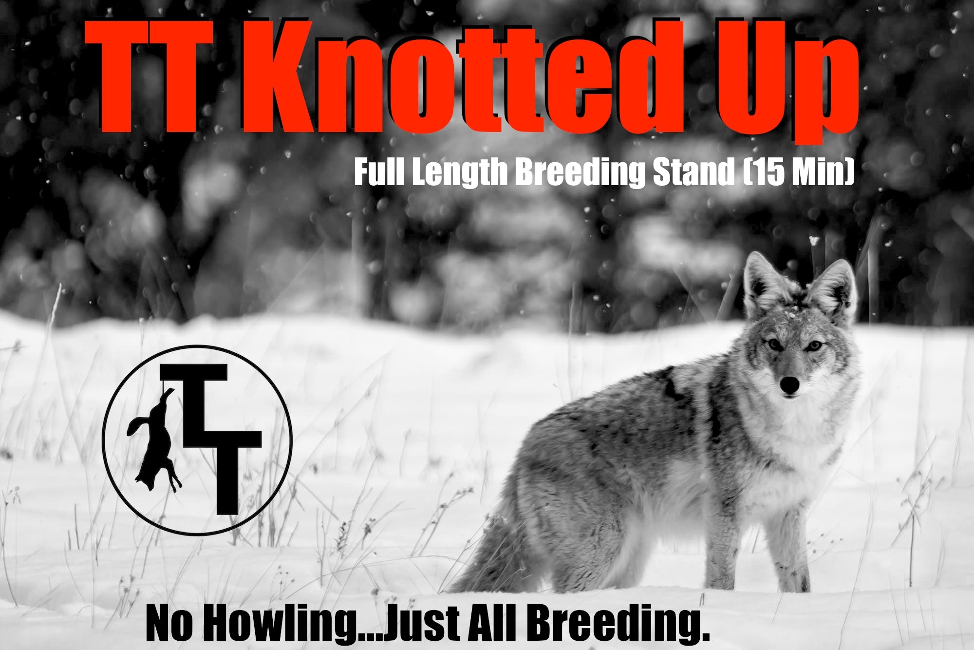TT Knotted Up – Predator University